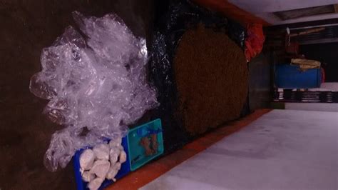 Microfungi The Mushroom Expert