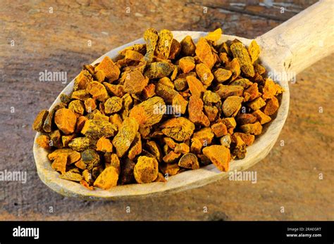 Curcuma Rhizome Rhizoma Curcumae Longae Turmeric Turmeric Turmeric