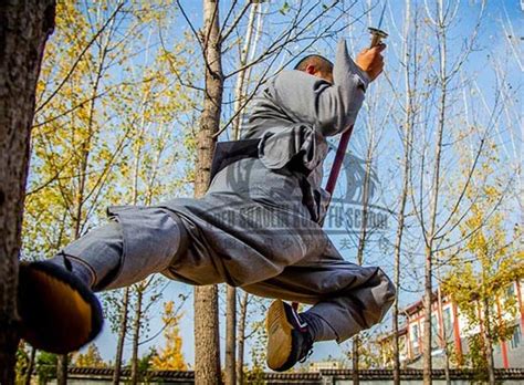 Shaolin Master Shi Yan Jia Qufu Shaolin Kung Fu School