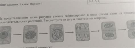 На представленном ниже рисунке ученик зафиксировал в виде схемы один из
