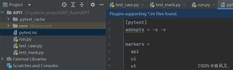 接口自动化——初识pytest Csdn博客