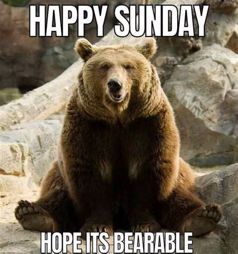 Hilarious Sunday Memes For Those Dreading The Workweek