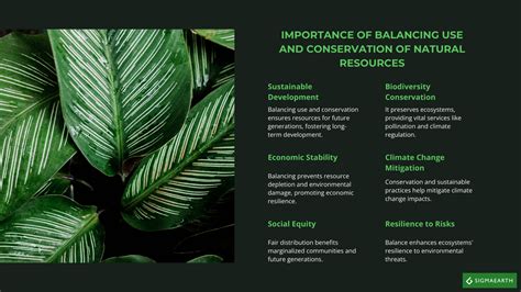 Strategies For Natural Resources Management Balancing Use