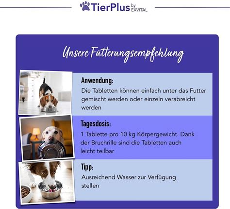 EXVital® TierPlus Ruhezeit Tabletten für Hunde mit Baldrian und ...
