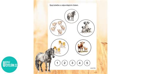 DomÁcÍ ZvÍŘÁtka Spoj Kolečko Logopedie Učiteléučitelům Cz