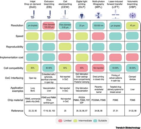 Towards Single Cell Bioprinting Micropatterning Tools For Organ On