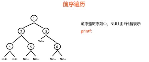数据结构初级＜二叉树＞ csdn博客