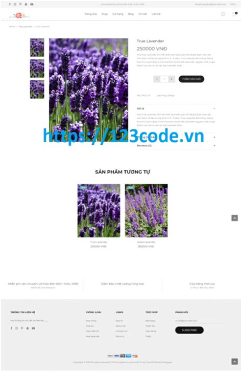 B O C O K M Source Code Website B N Hoa Php Laravel Full Ch C N Ng