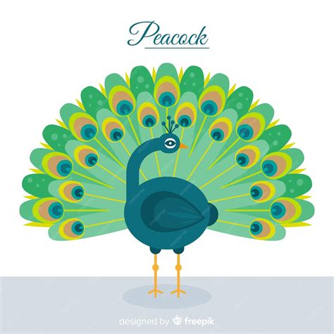 Free Vector Creative Peacock Design Free Vector Creative Peacock Design