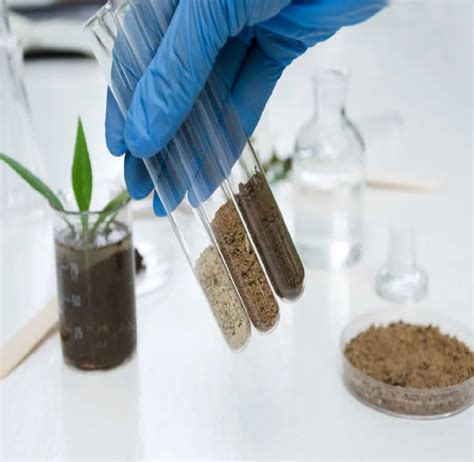 Soil Testing Services In New Delhi Id 2850266277697