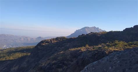 Sasan Gir India All You Need To Know Before You Go