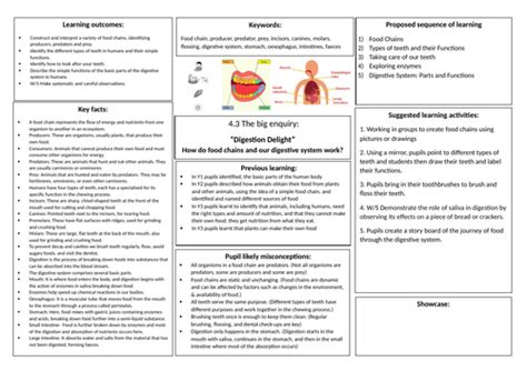 Primary Science Medium Term Plans Y1y6 Teaching Resources