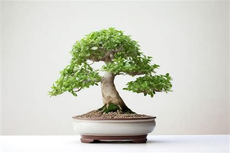 Premium AI Image | Kenzan with beautiful ikebana on white background AI