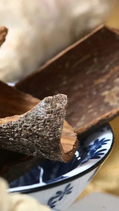 预防新冠病毒，每天一剂桂枝汤，免疫力倍增健康频道新闻中心长江网cjncn