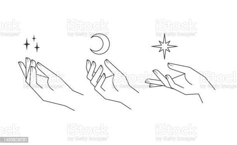 미적 손 벡터 선형 그림 다양한 제스처로 양식화된 우아한 손 그림 드로잉에 대한 스톡 벡터 아트 및 기타 이미지 드로잉 디자인 라인아트 Istock