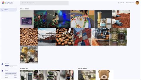 Run Immich In Docker Swarm