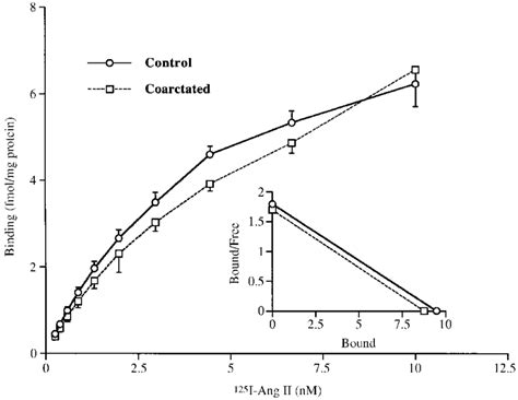 Specific Saturation Binding Curves Of 125 I Ang Ii In The Nucleus