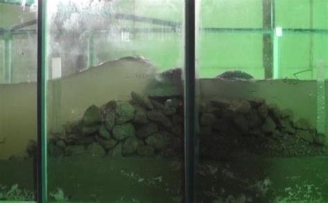 General Shots Reveal The Wave Structure Interaction Download Scientific Diagram