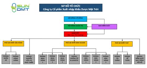 Sơ Đồ Tổ Chức Công Ty Xuất Nhập Khẩu Dược Mặt Trời