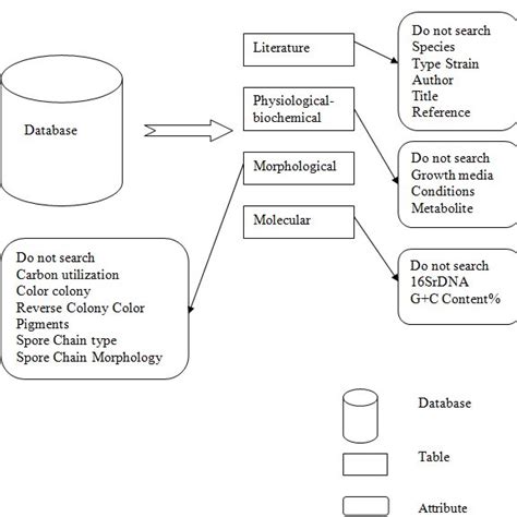 Representation Of Database Architecture Download Scientific Diagram