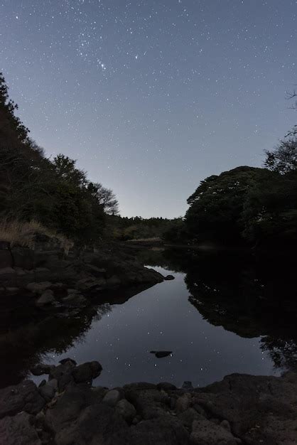 Premium Photo Reflection Of Trees In Water At Night