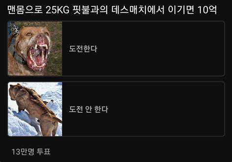 맨몸으로 25kg 핏불테리어 데스매치 한다 Or 안한다 유머움짤이슈 에펨코리아