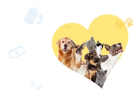 Perineal Urethrostomy In Cats