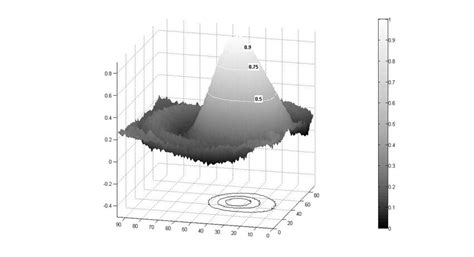 normalized sar distributions obtained from a 2 d fdtd planning b
