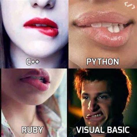 Visual Basic DevRant