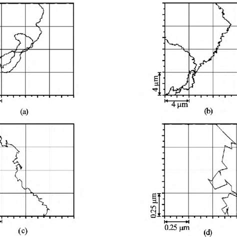 Motion Trajectories Under Different Scale Observation Windows For Janus