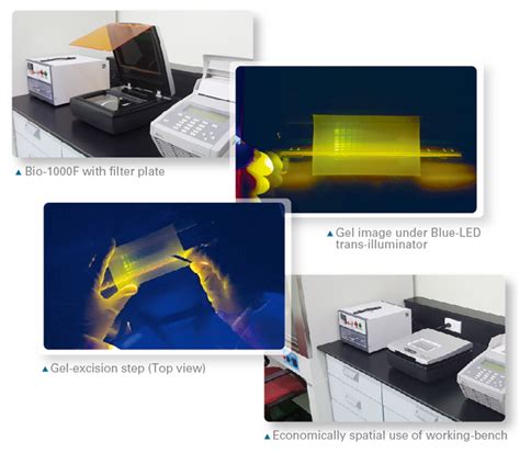 Microtek Scanner And Scanner Software Test