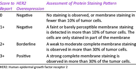 Immunohistochemistry Scoring Method For Her2 Download Scientific Diagram