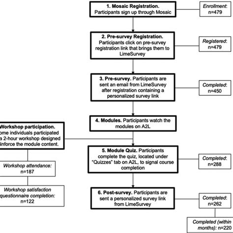 Program Participation Flow Chart Download Scientific Diagram