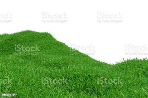 녹색 잔디 언덕 흰색 배경에 고립입니다 자연 배경입니다 야외 추상적인 배경입니다 3d 렌더링입니다 0명에 대한 스톡 사진 및 기타 이미지 Istock