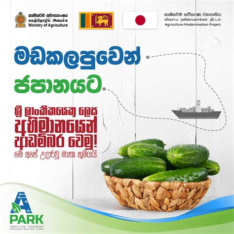 agriculture sector modenization project asmp