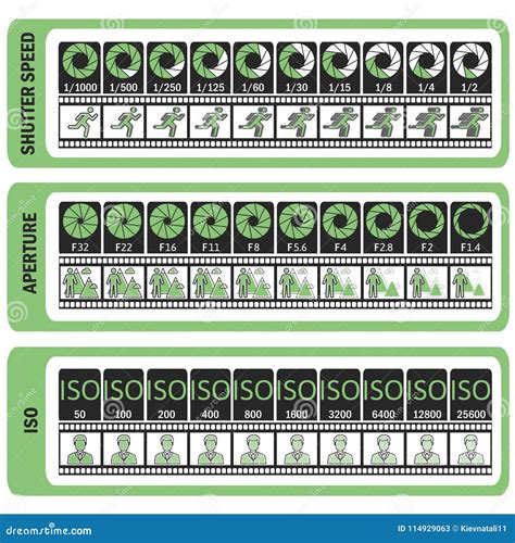Photography Manual Camera`s Cheat Sheet Stock Vector Illustration Of Green Guide 114929063