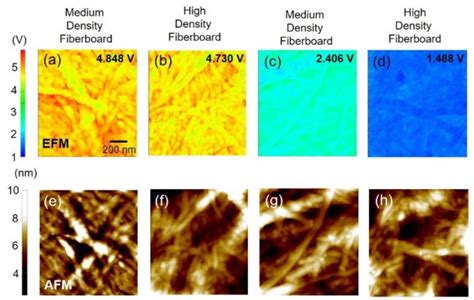 A ~ D Shows The Electrostatic Force Microscope Efm Images Between Download Scientific