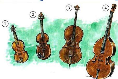 Strings Instruments List With Pictures Kenjutaku