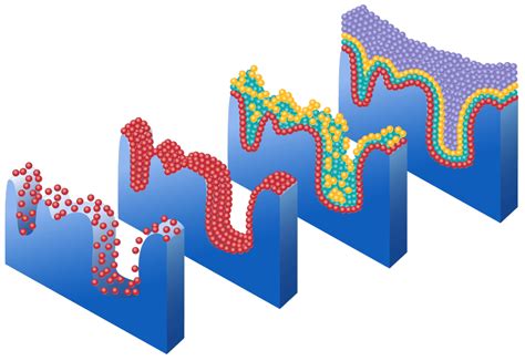 Gas Adsorption Micromeritics