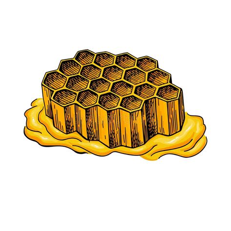 Propolis Label Stock Illustrations 864 Propolis Label Stock