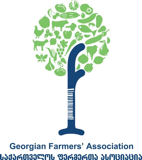 10 ყველაზე ძვირად ღირებული და უნიკალური ქართული ღვინო Gfa