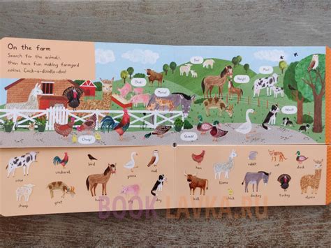 There are 101 Animals in this Book – купить в интернет-магазине ...
