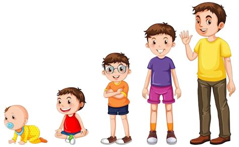 인간 성장의 단계 무료 벡터