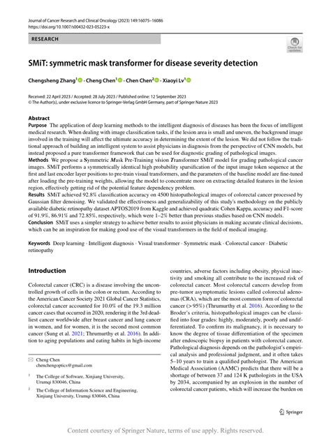 Smit Symmetric Mask Transformer For Disease Severity Detection