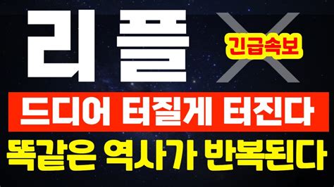 리플 Xrp 드디어 터질게 터진다 똑같은 역사가 반복된다 기록적인 폭등 임박 Youtube