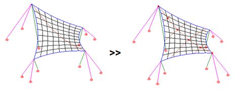 Multi Geodesic Lines Wintess Software