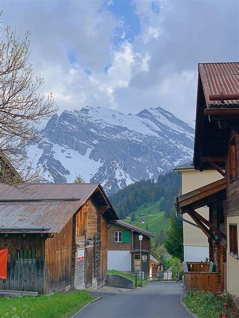 스위스 융프라우 Vip 패스 Vs 스위스트래블패스 두피디아 여행기