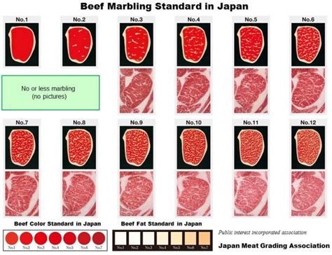 Wagyu Grades And Cuts Heartbrand® Beef