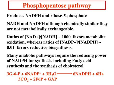 Ppt Tca And Pentose Phosphate Pathway 12012009 Powerpoint