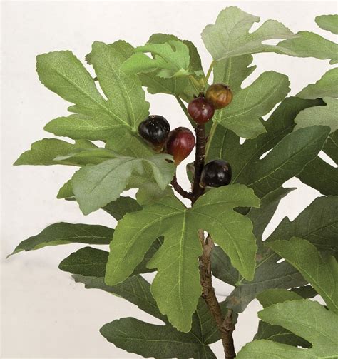 Earthflora Euro Collection Olive Fig Trees 3 Fig Tree Synthetic Trunk 60 Leaves 21